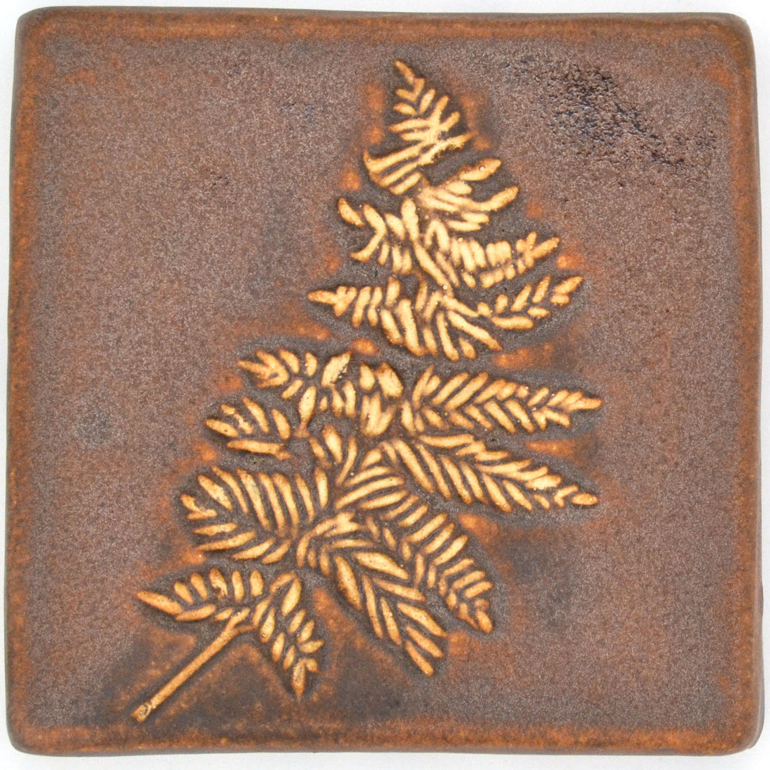 4x4 Fern Tile – Little Traverse Tileworks